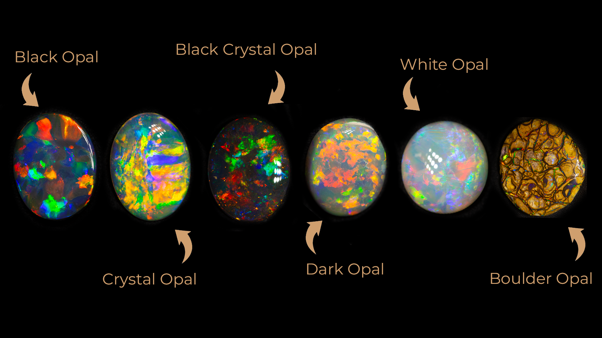 opal bu