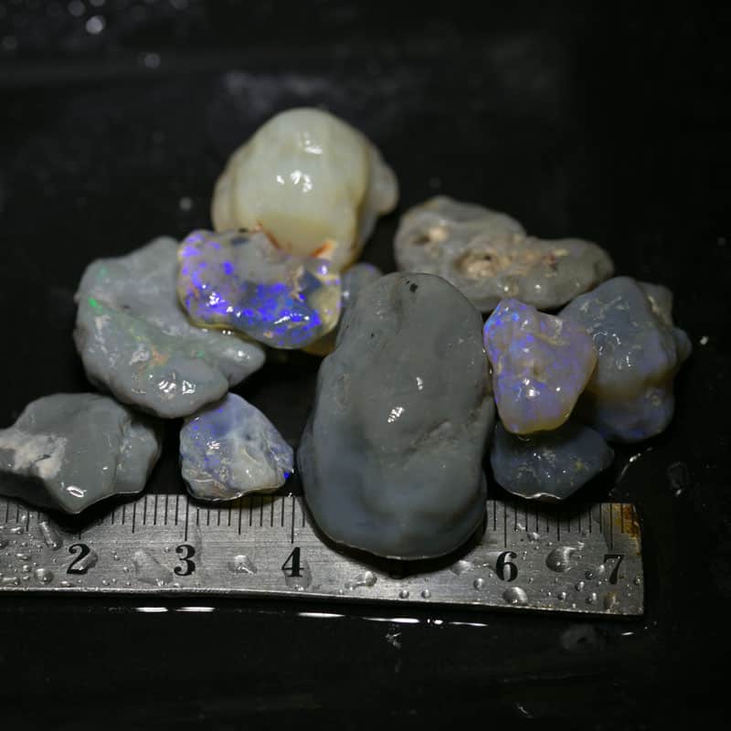 143 ct Beginners Rough Opal with Video Tutorials