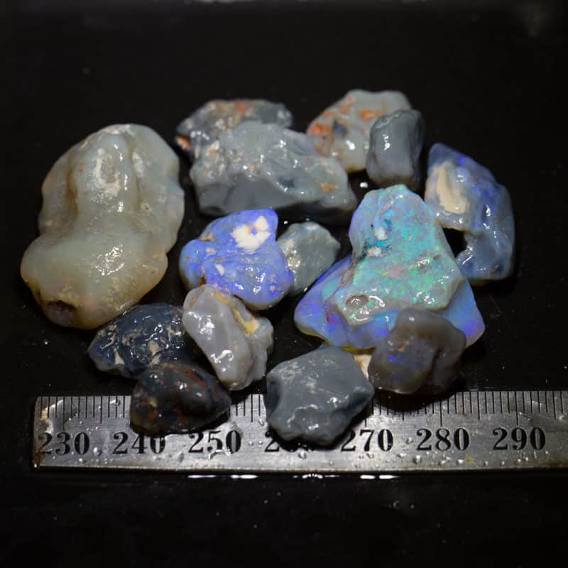 155ct Beginners Rough Opal with Video Tutorials