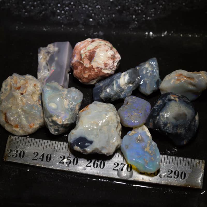 157 ct Beginners Rough Opal with Video Tutorials