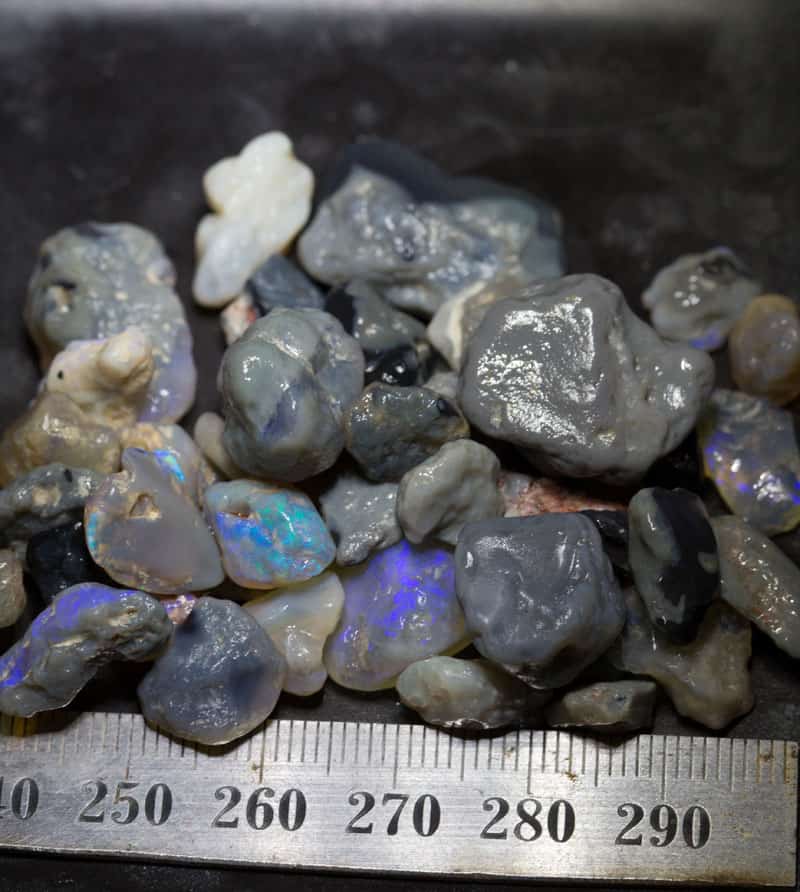 160ct Beginners Rough Opal with Video Tutorials