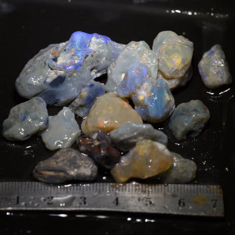 177 ct Beginners Rough Opal with Video Tutorials