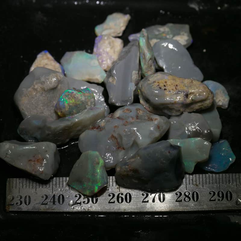 183 ct Beginners Rough Opal with Video Tutorials