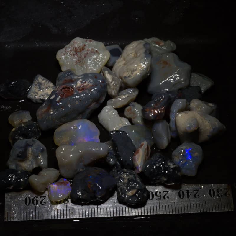 186 ct Beginners Rough Opal with Video Tutorials