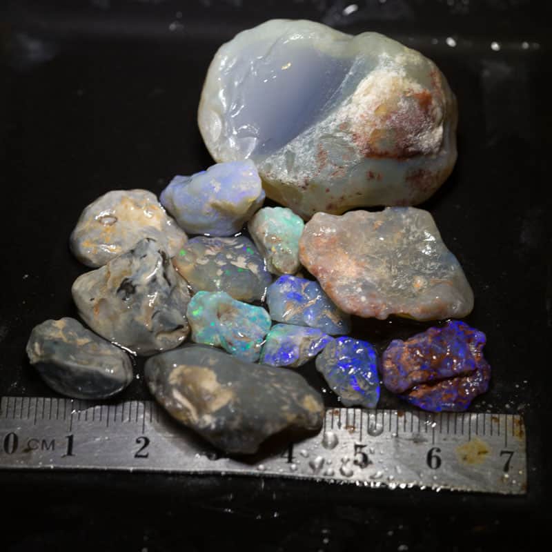 203 ct Beginners Rough Opal with Video Tutorials