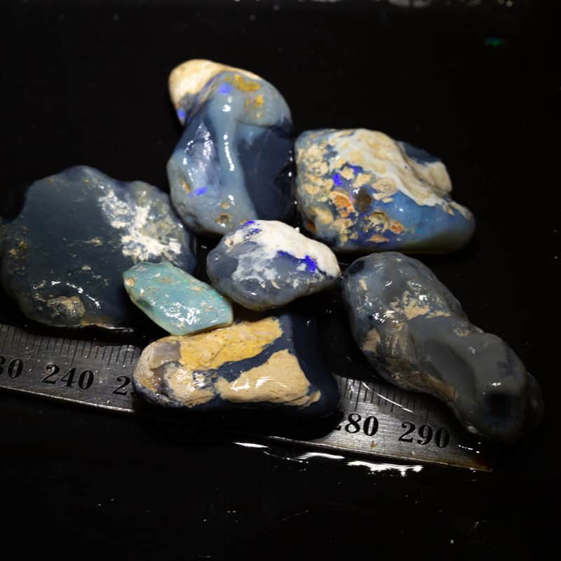 212 ct Beginners Rough Opal with Video Tutorials