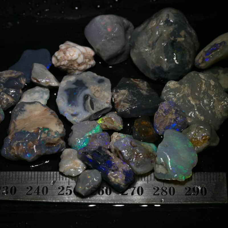 212 ct Beginners Rough Opal with Video Tutorials