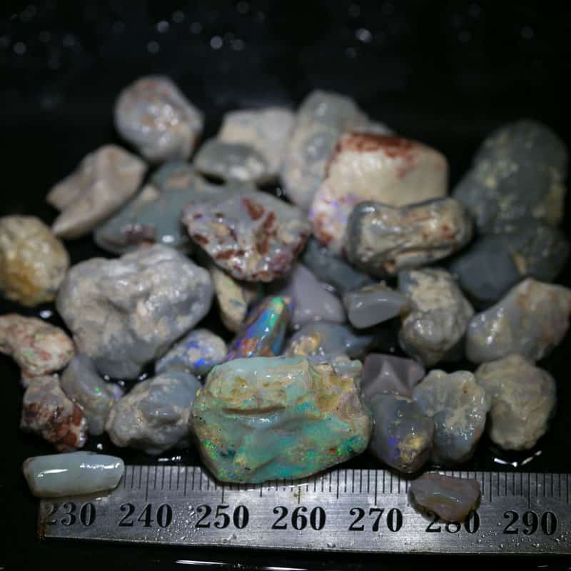219 ct Beginners Rough Opal with Video Tutorials