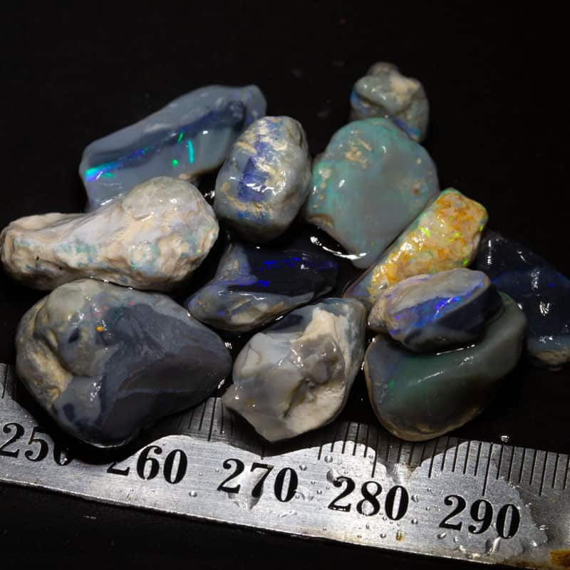 79 ct Beginners Rough Opal with Video Tutorials