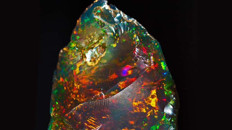 The world's rarest opal: Part 1