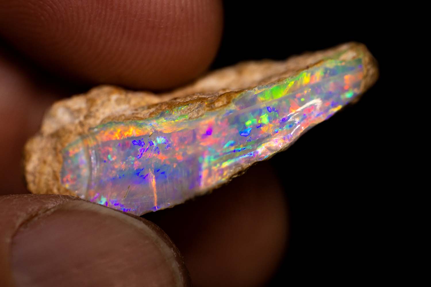 Young Guns Opal Hunters