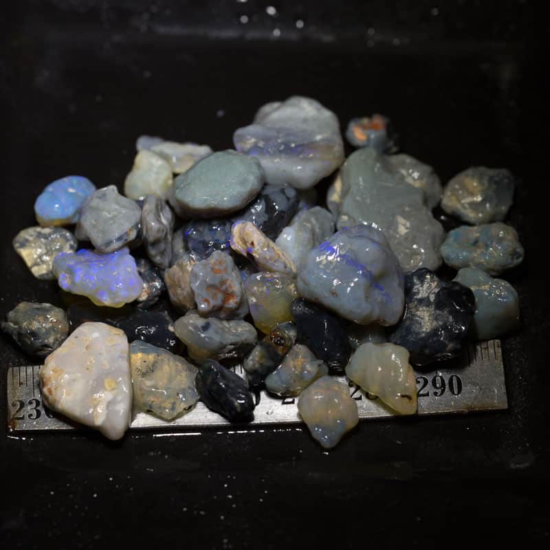 178ct Beginners Rough Opal with Video Tutorials