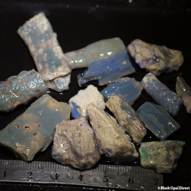 187 ct opal fossil parcel