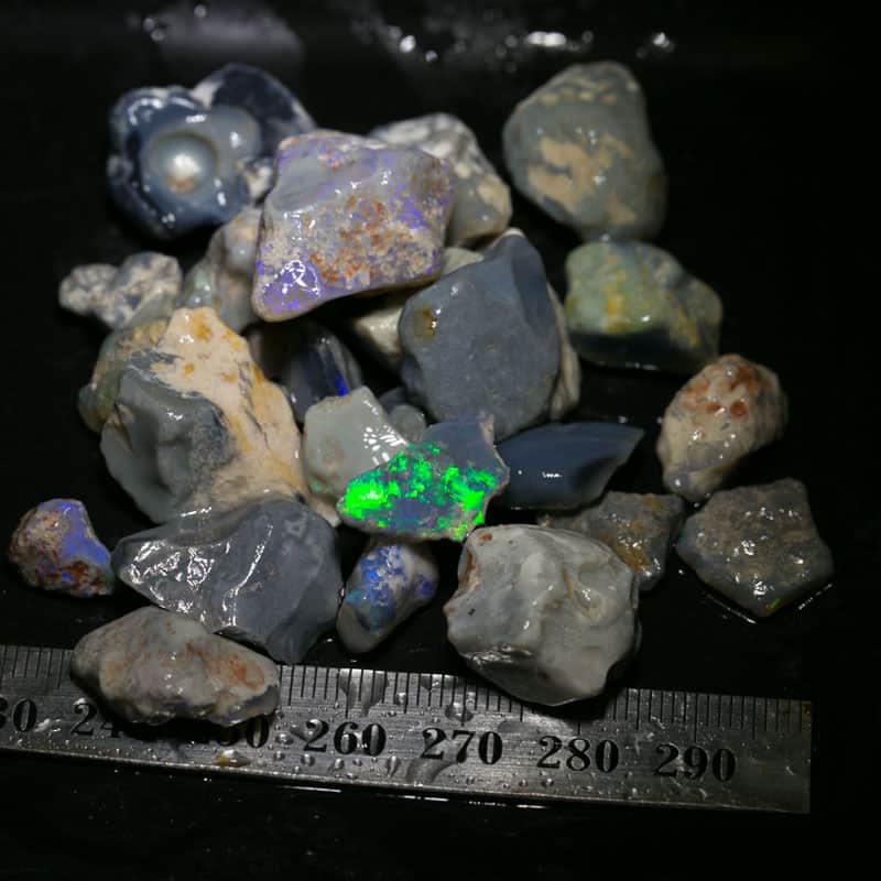 195 ct Beginners Rough Opal with Video Tutorials