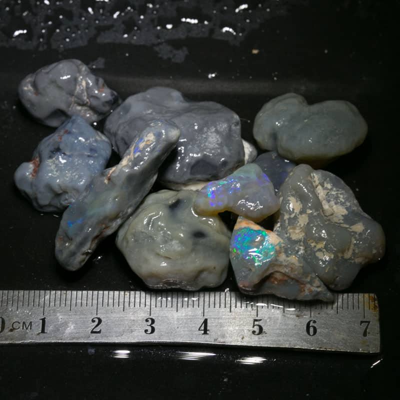 214 ct Beginners Rough Opal with Video Tutorials