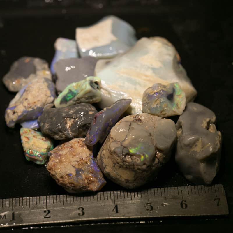 231 ct Beginners Rough Opal with Video Tutorials