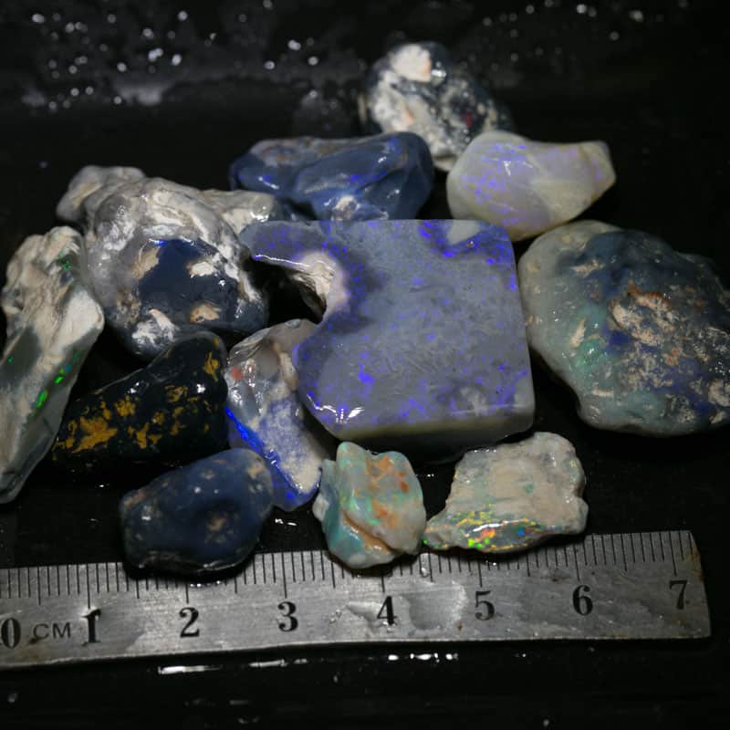 232 ct Beginners Rough Opal with Video Tutorials